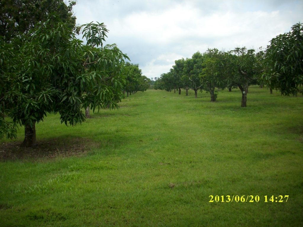 MANGGA - ePengembangan