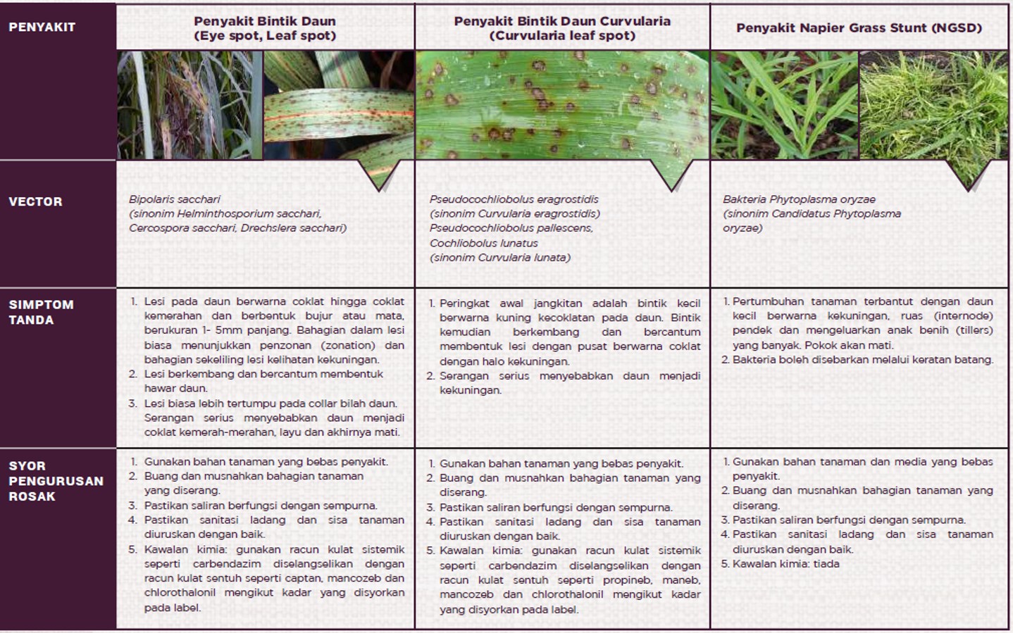 ePengembangan | Tanaman Industri