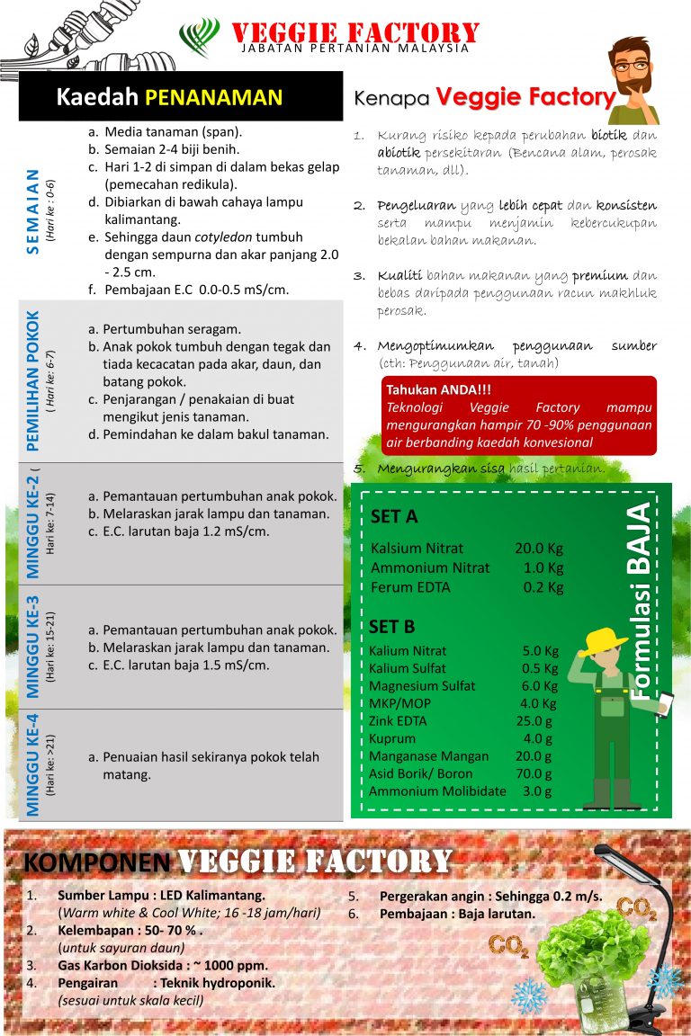 Veggie Factory - ePengembangan