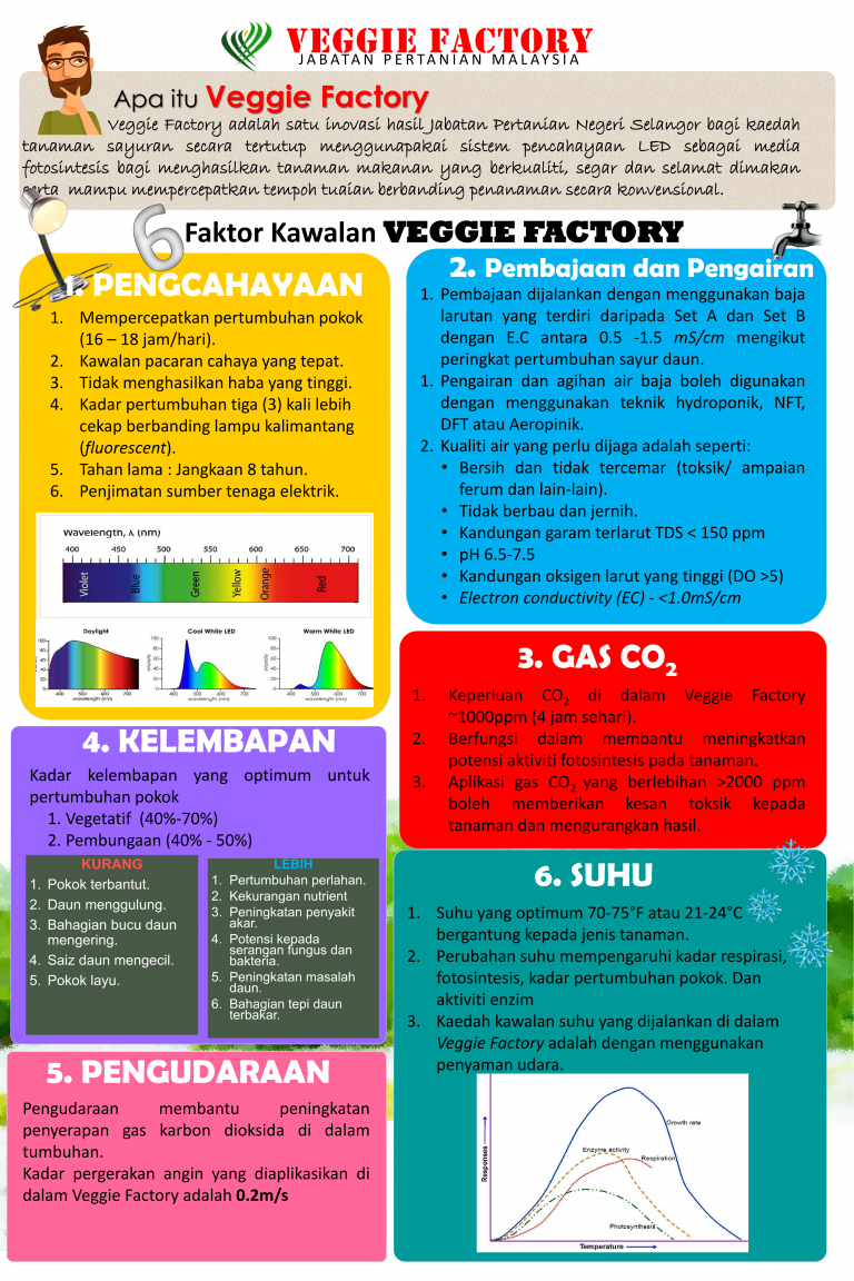 Veggie Factory - ePengembangan