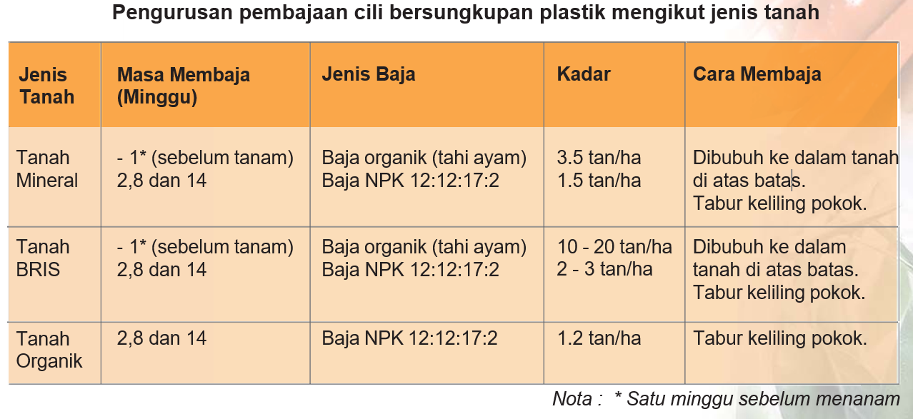 CILI - ePengembangan